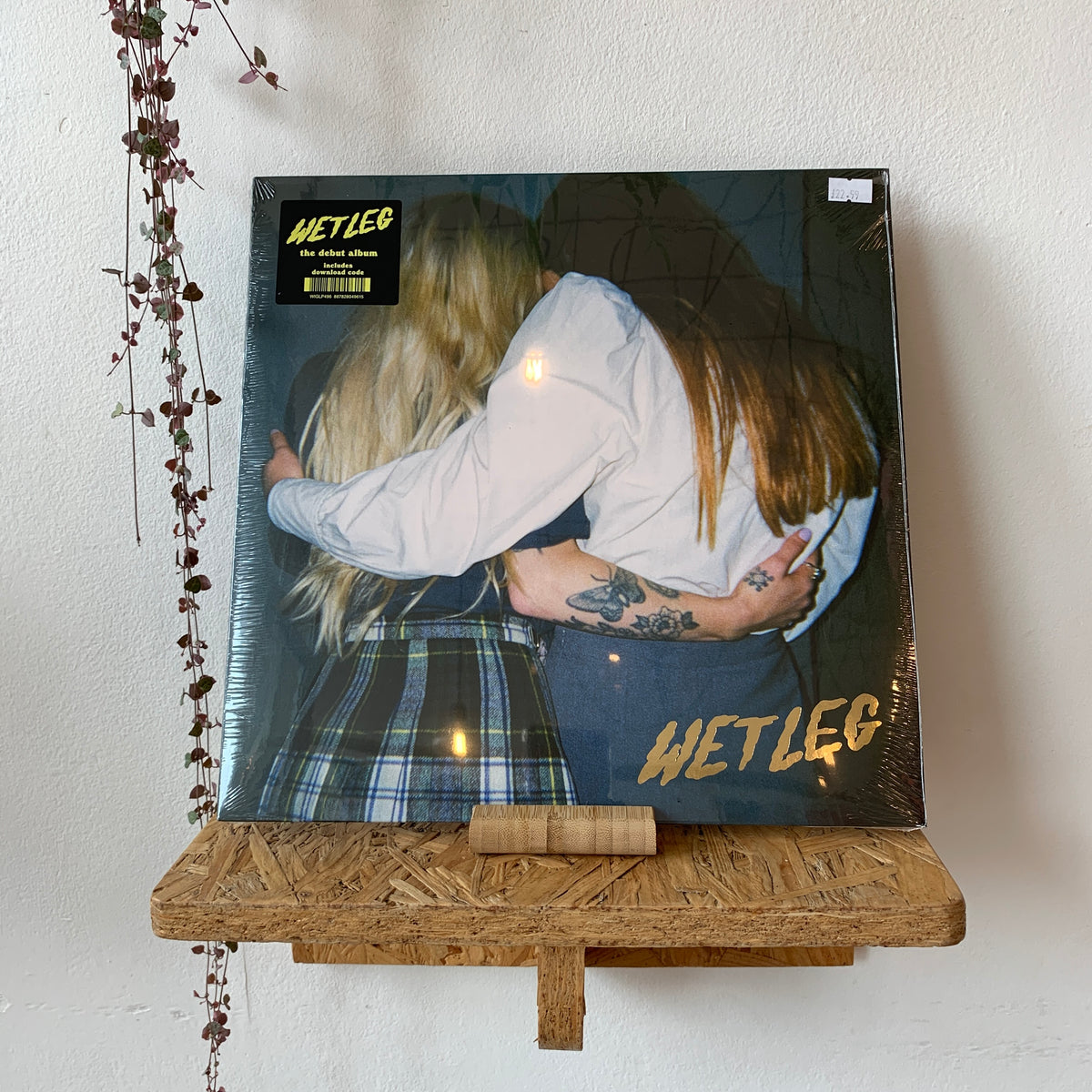 Wet Leg - Wet Leg – Level Crossing Records