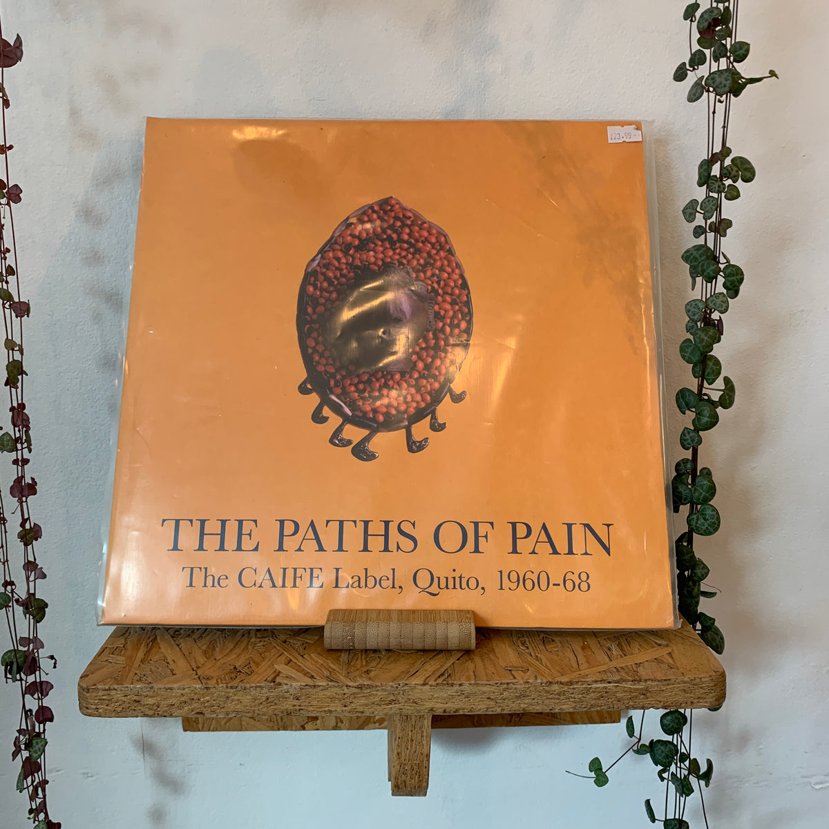 Various - The Paths Of Pain, The CAIFE Label, Quito, 1960-68 – Level ...