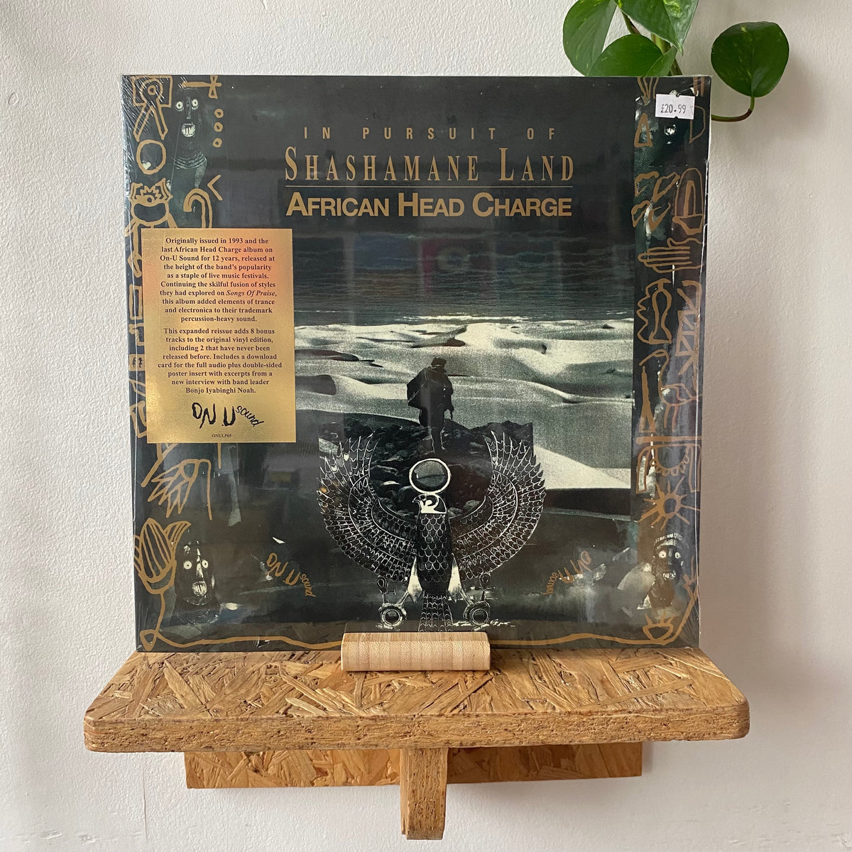 African Head Charge - In Pursuit of Shashamane Land – Level Crossing ...