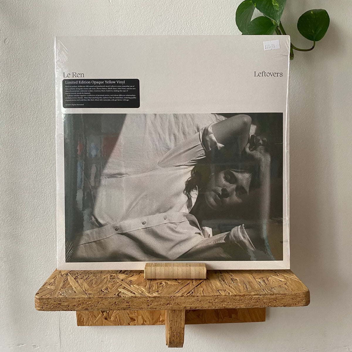 Le Ren - Leftovers – Level Crossing Records